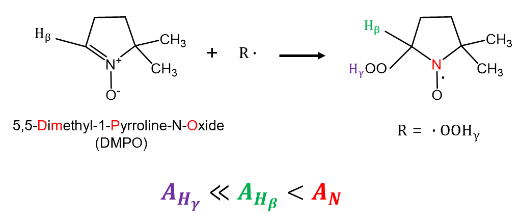 如何检测短寿命自由基？ 自旋捕获电子顺磁共振方法介绍（三）