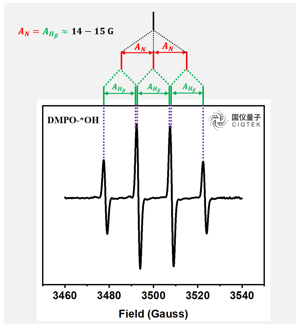 如何检测短寿命自由基？ 自旋捕获电子顺磁共振方法介绍（三）